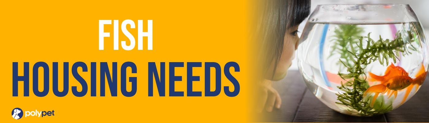 Fish - Housing Needs