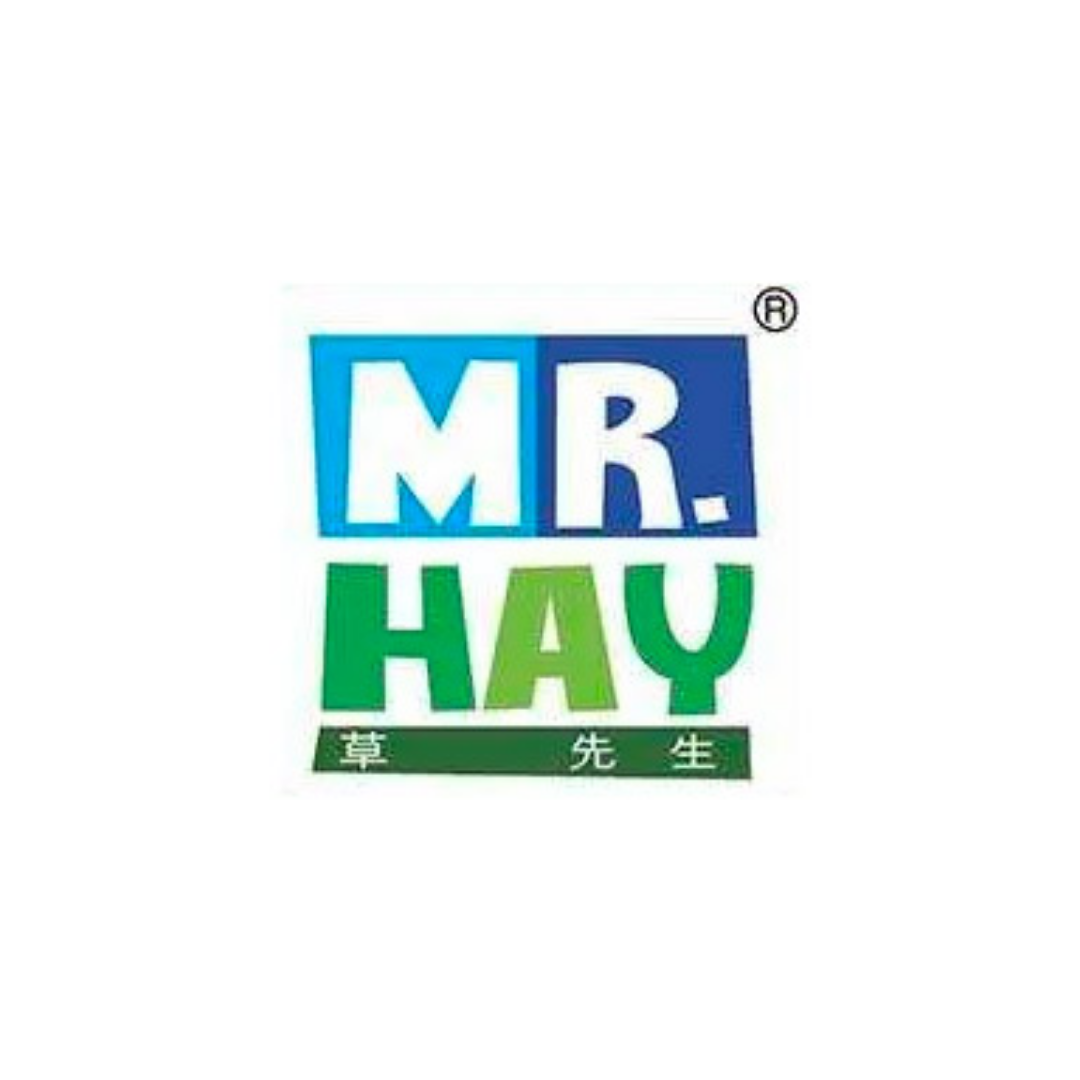 Mr. Hay