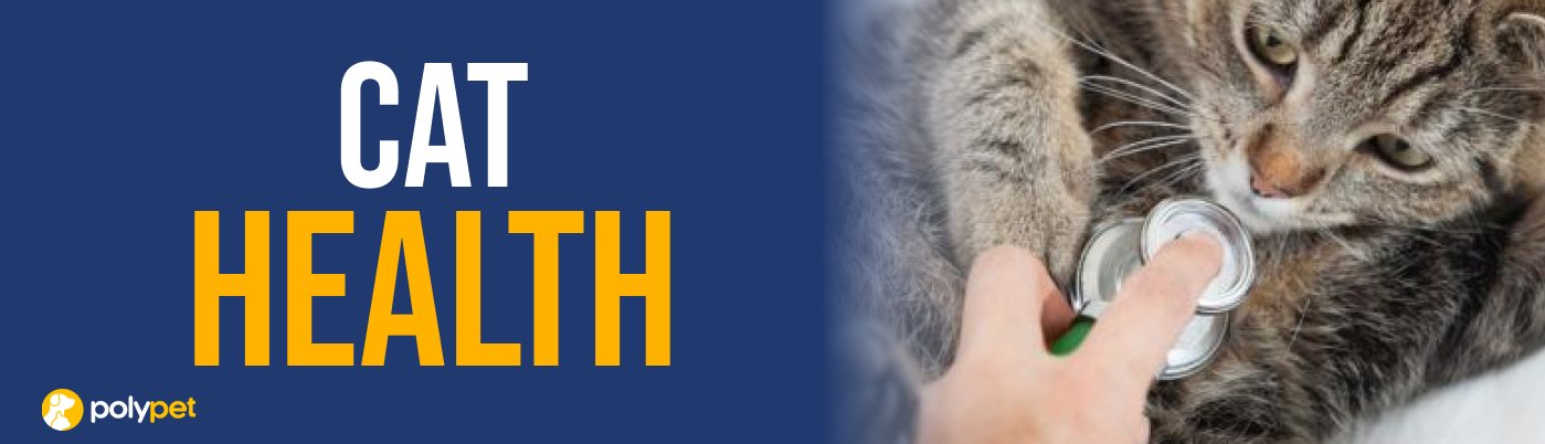 Cat - Health