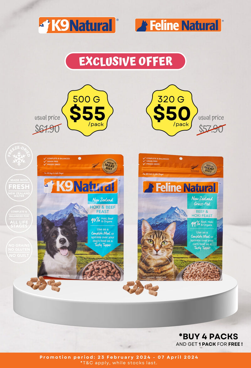 Online & Retail Pet Shop | Polypet Singapore