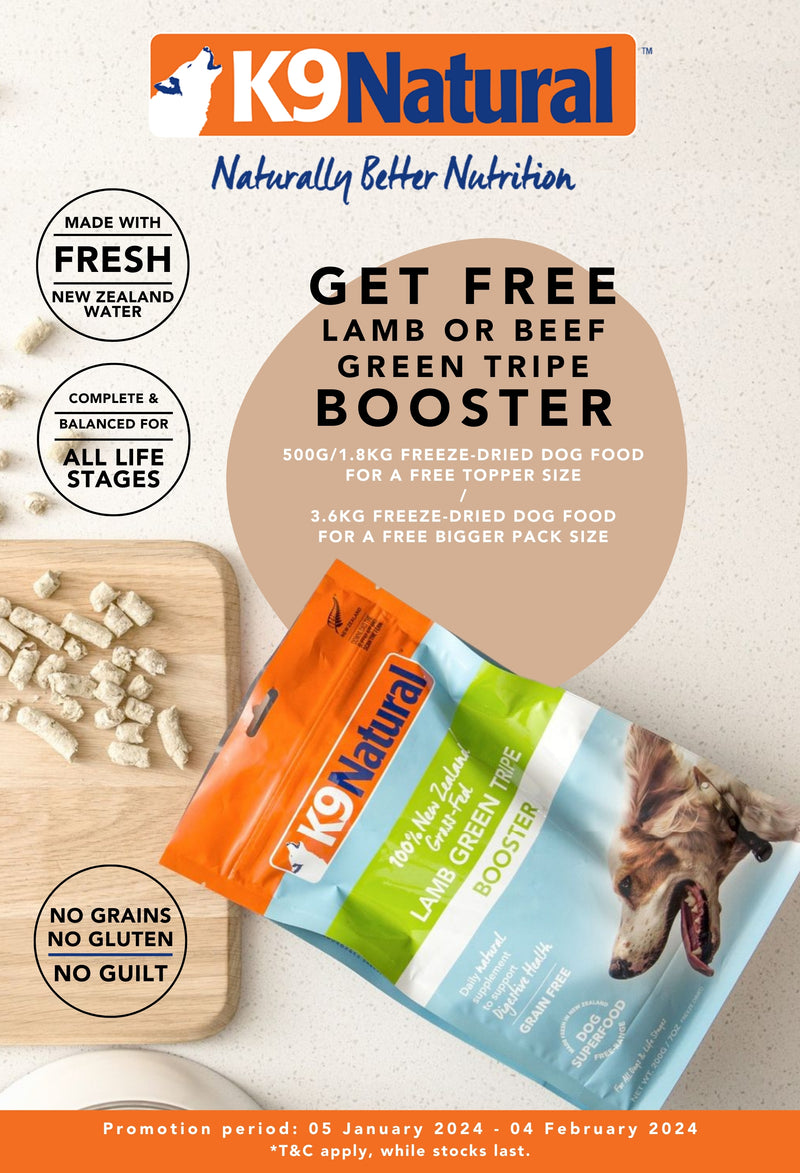 Online & Retail Pet Shop | Polypet Singapore