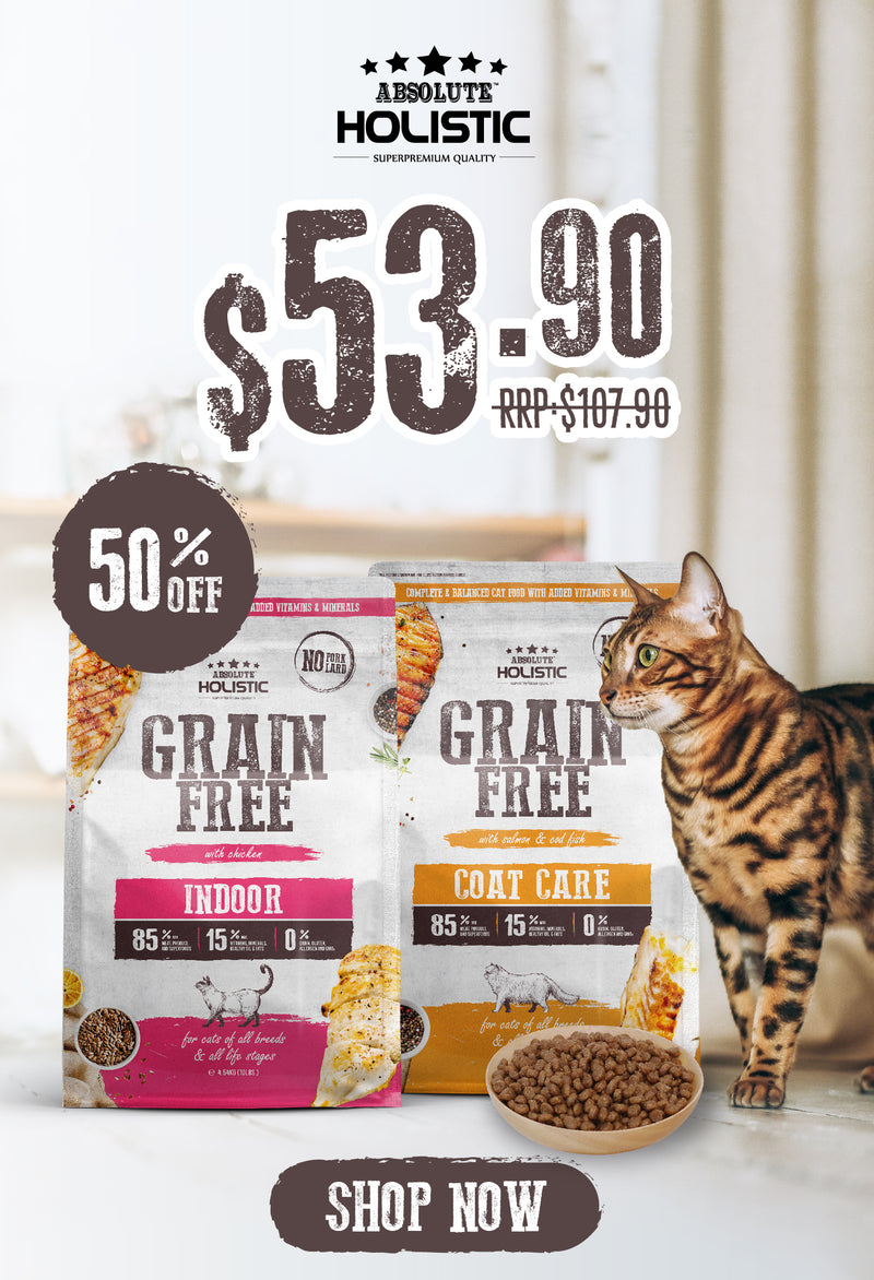 Online & Retail Pet Shop | Polypet Singapore