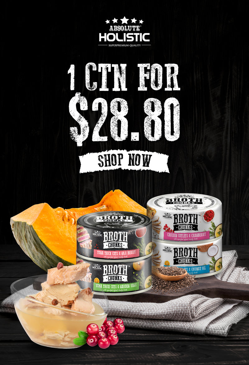 Online & Retail Pet Shop | Polypet Singapore