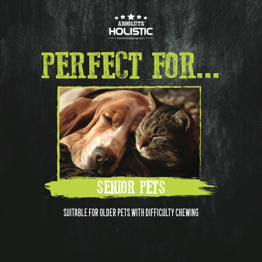 Absolute Holistic Cats & Dogs Liquid Puree Treats Salmon Bisque with G