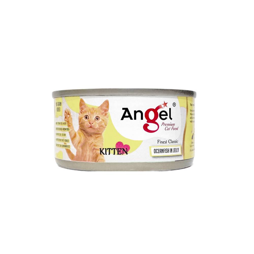 Angel Kitten Oceanfish in Jelly 80g