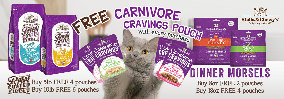 Online & Retail Pet Shop | Polypet Singapore