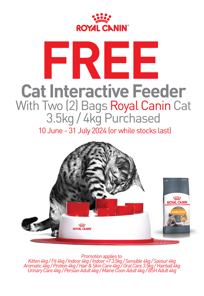 Online & Retail Pet Shop | Polypet Singapore