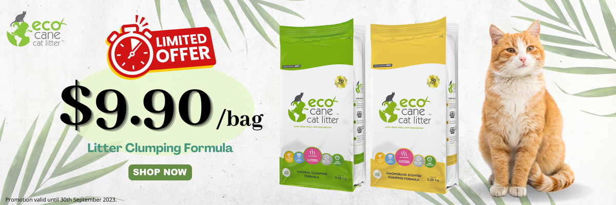 Online & Retail Pet Shop | Polypet Singapore