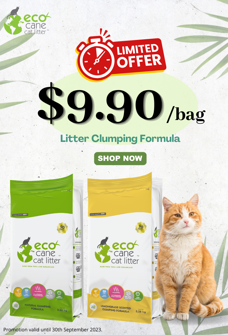 Online & Retail Pet Shop | Polypet Singapore