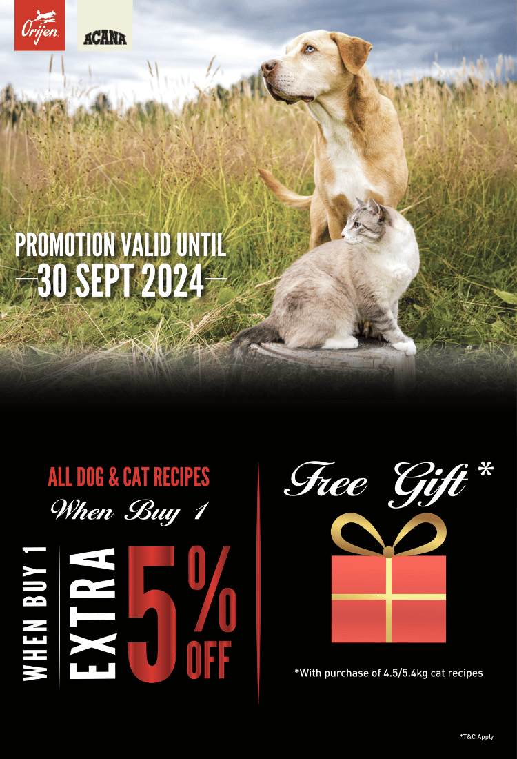 Online & Retail Pet Shop | Polypet Singapore