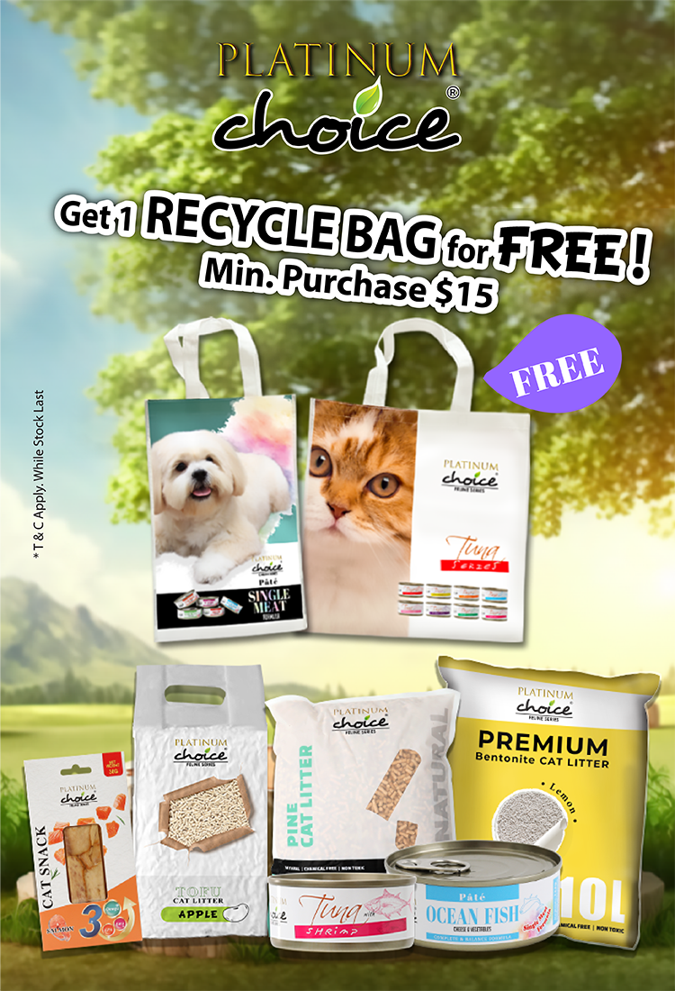 Online & Retail Pet Shop | Polypet Singapore