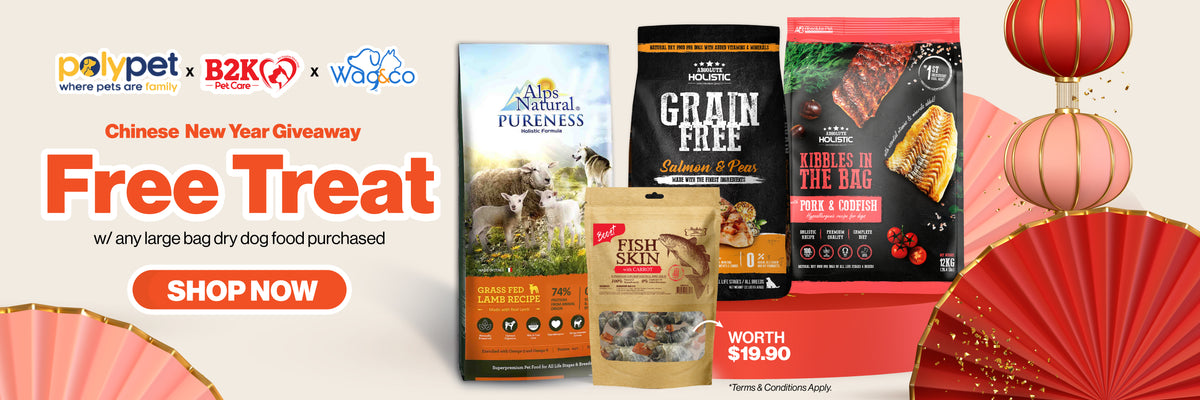 Online & Retail Pet Shop | Polypet Singapore