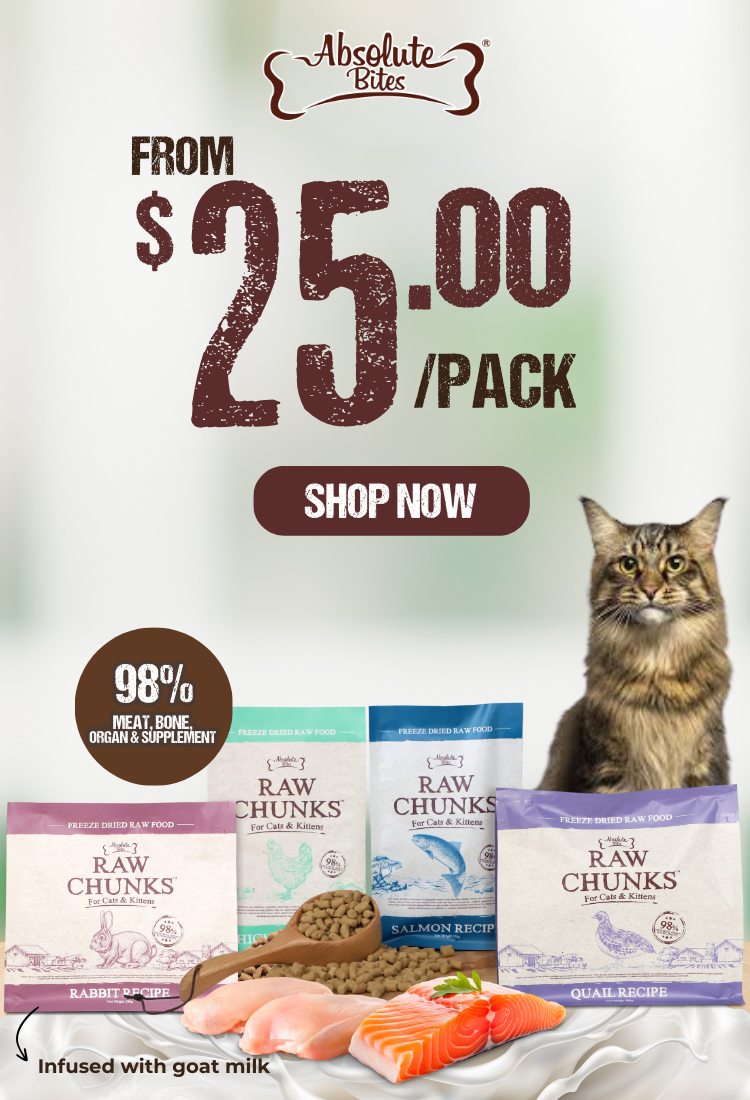 Online & Retail Pet Shop | Polypet Singapore