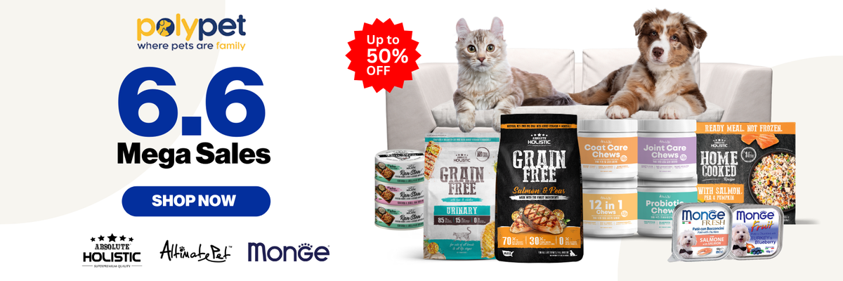 Online & Retail Pet Shop | Polypet Singapore