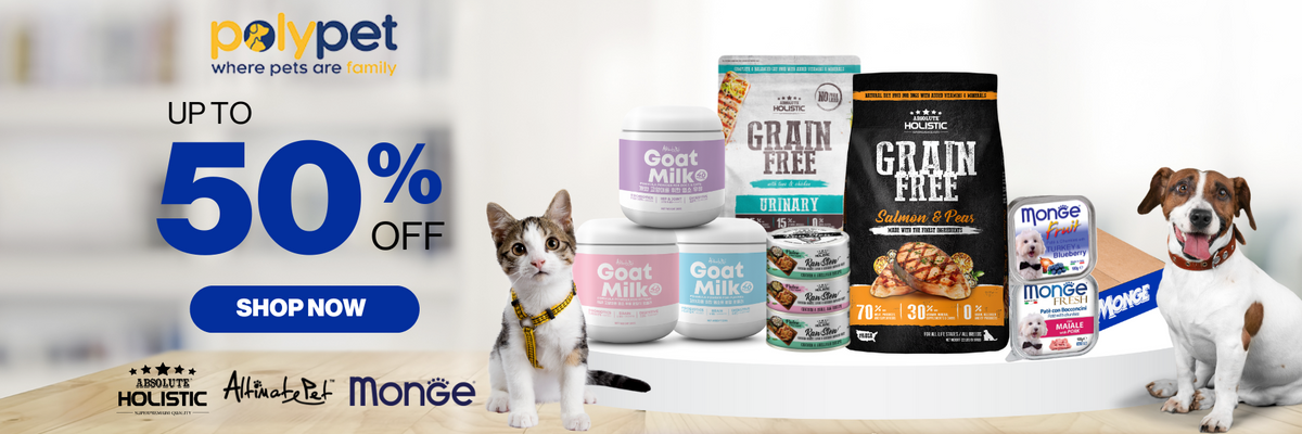 Online & Retail Pet Shop | Polypet Singapore