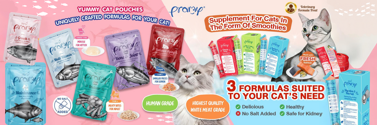 Online & Retail Pet Shop | Polypet Singapore