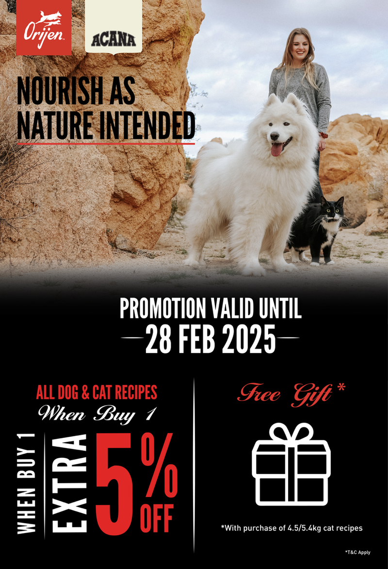 Online & Retail Pet Shop | Polypet Singapore