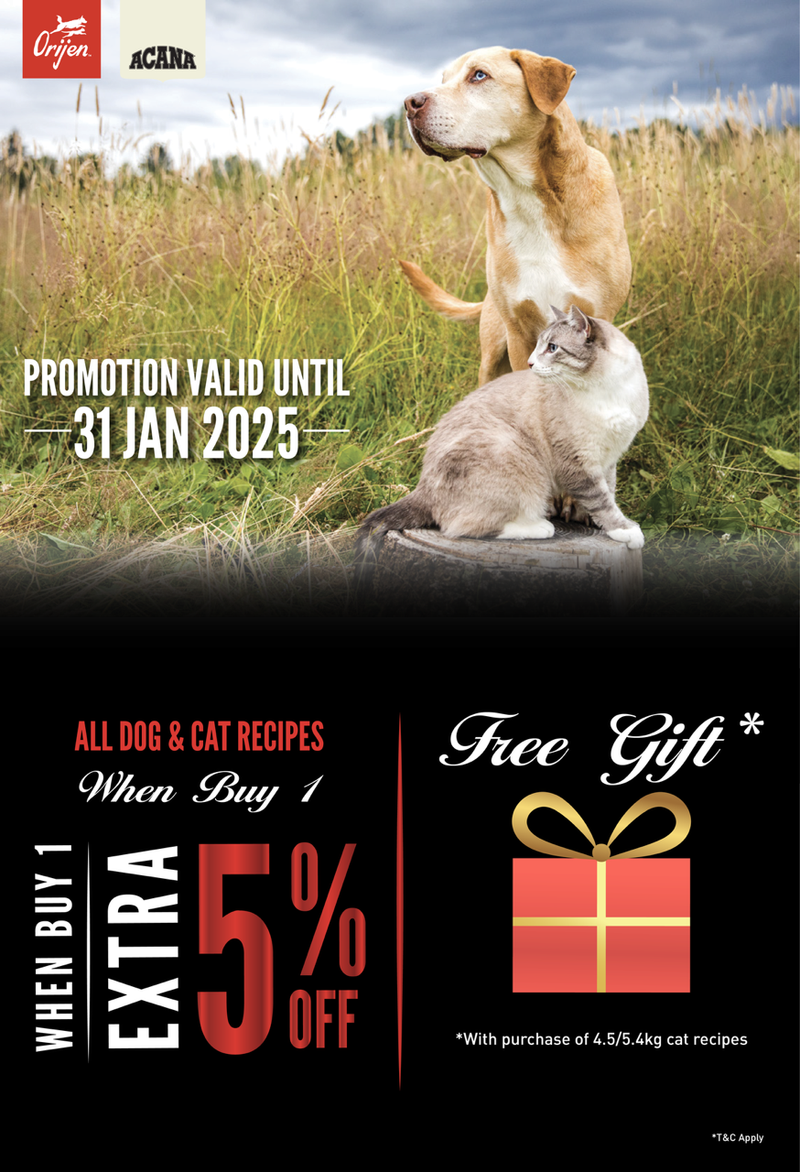 Online & Retail Pet Shop | Polypet Singapore