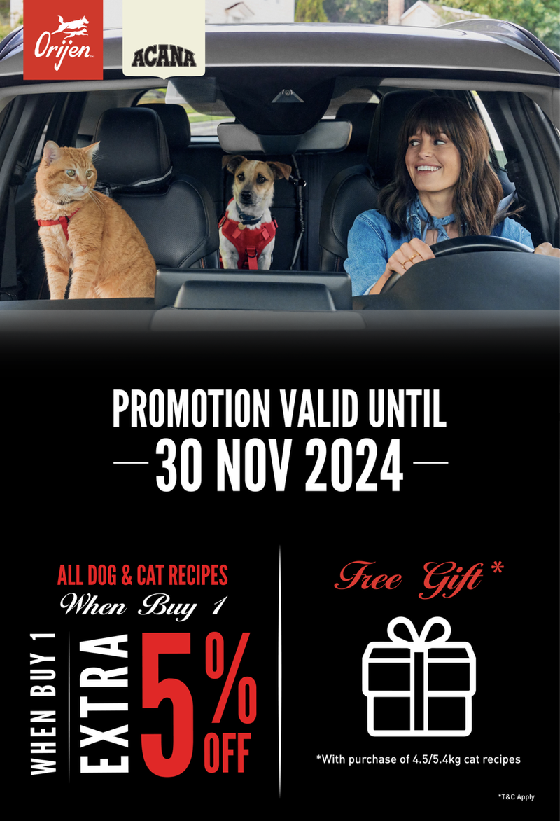 Online & Retail Pet Shop | Polypet Singapore
