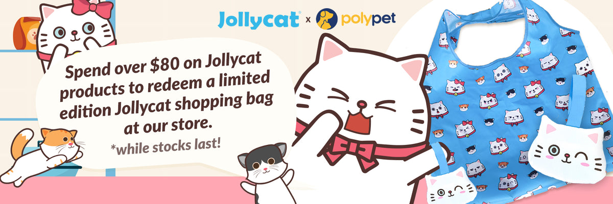 Online & Retail Pet Shop | Polypet Singapore