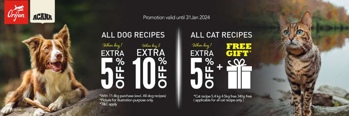Online & Retail Pet Shop | Polypet Singapore