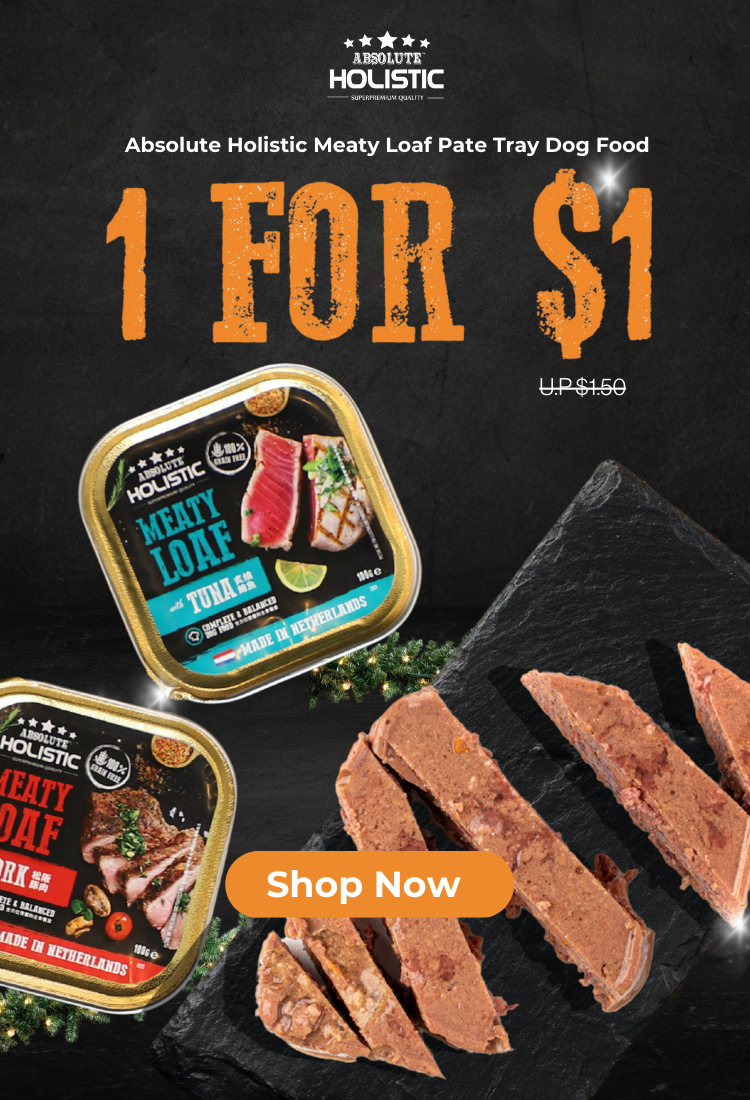 Online & Retail Pet Shop | Polypet Singapore