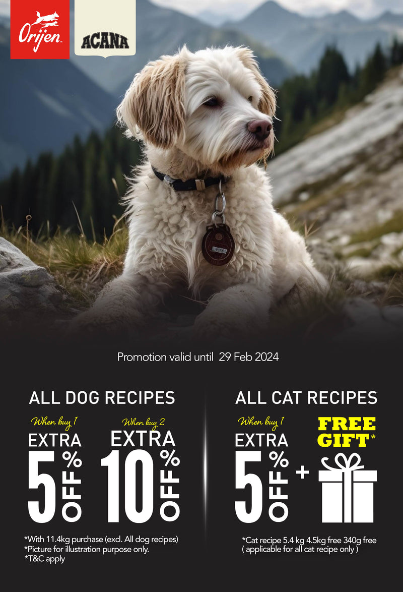 Online & Retail Pet Shop | Polypet Singapore