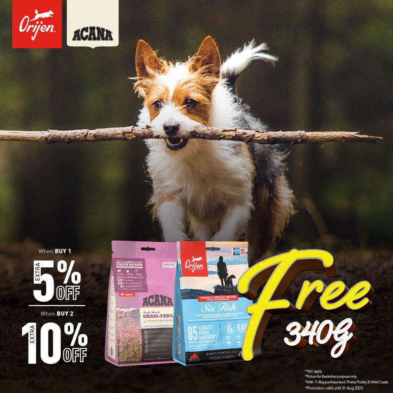 Online & Retail Pet Shop | Polypet Singapore