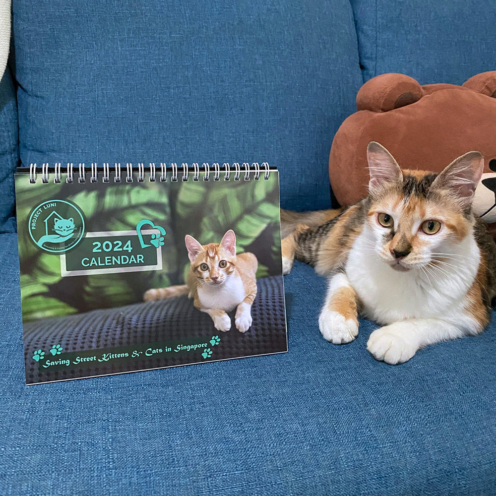 Online & Retail Pet Shop | Polypet Singapore