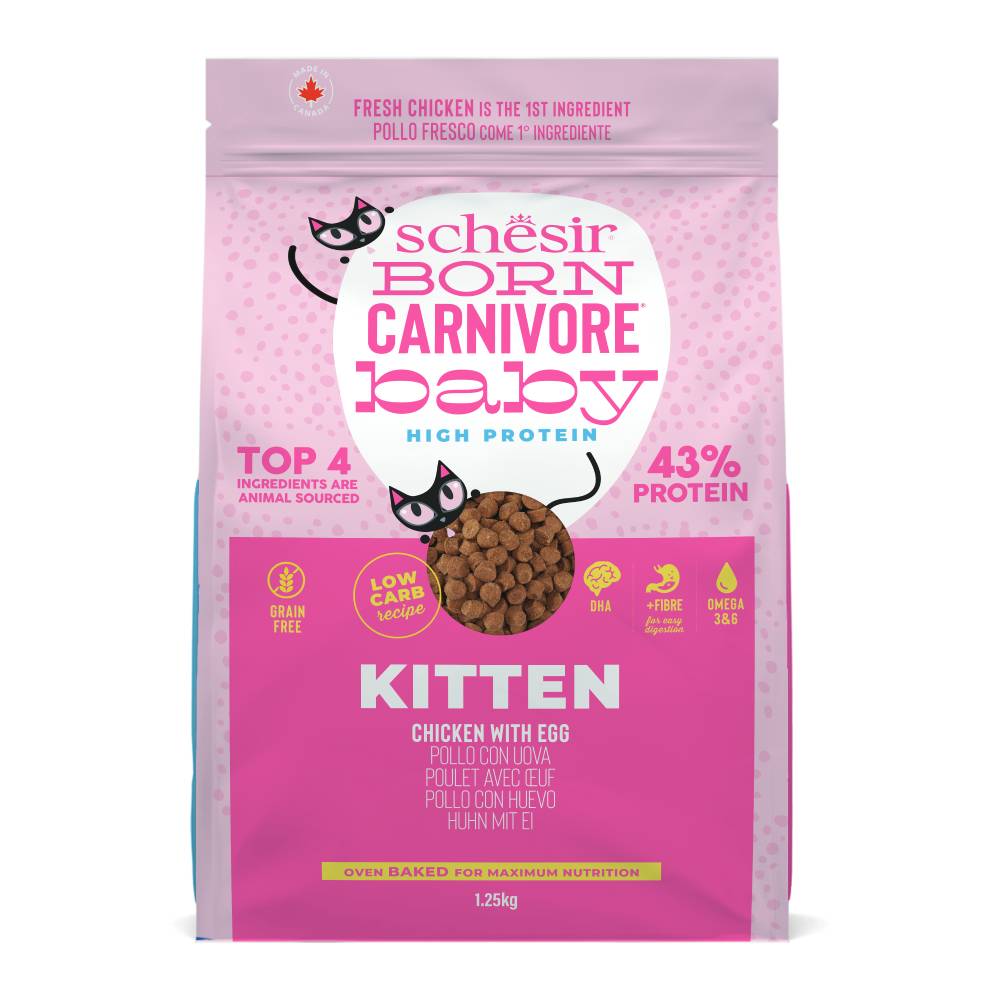 Schesir Cat Born Carnivore Baked Dry Recipe Chicken with Egg For Kitte