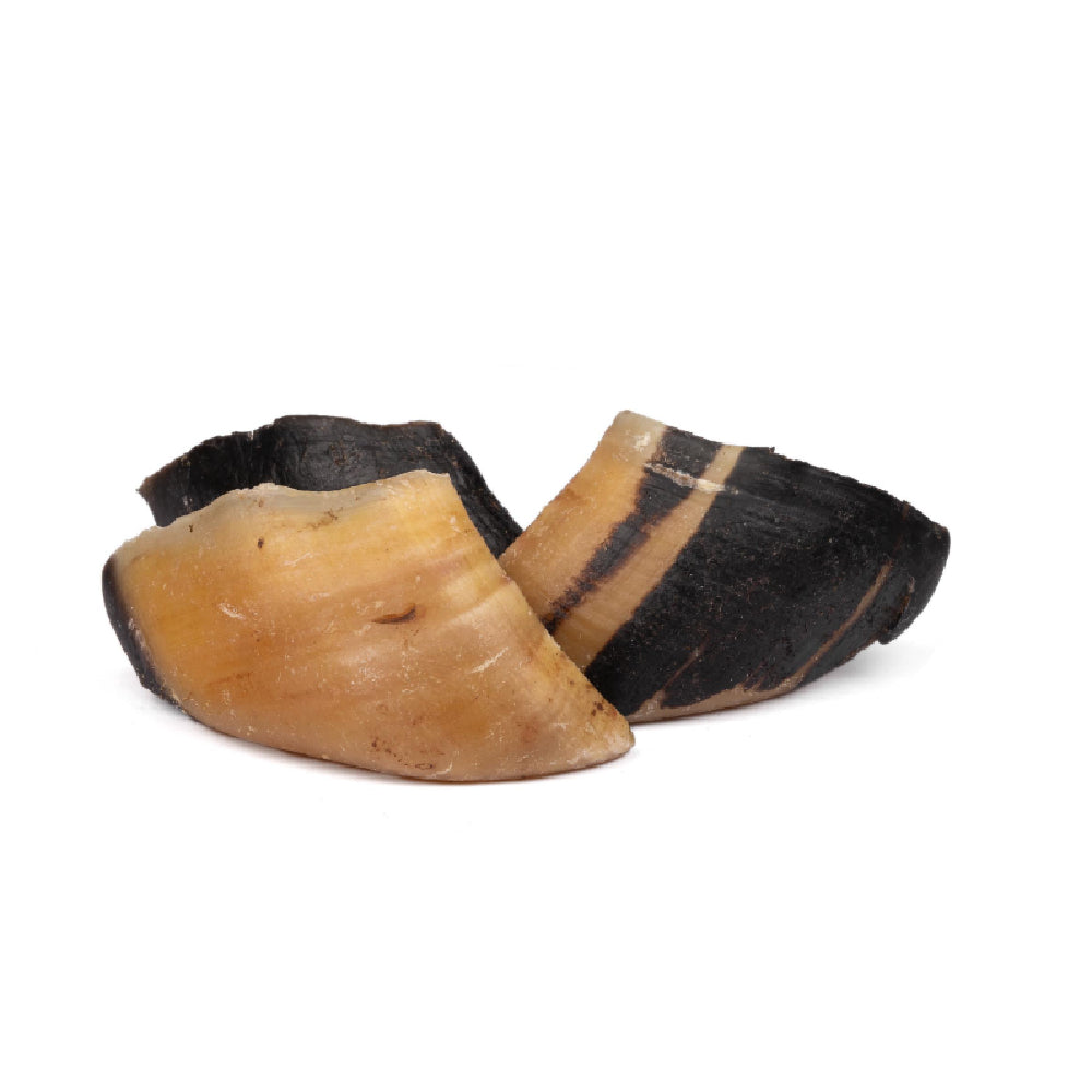 Scott & Dan's Beef Cow Hooves 1pc