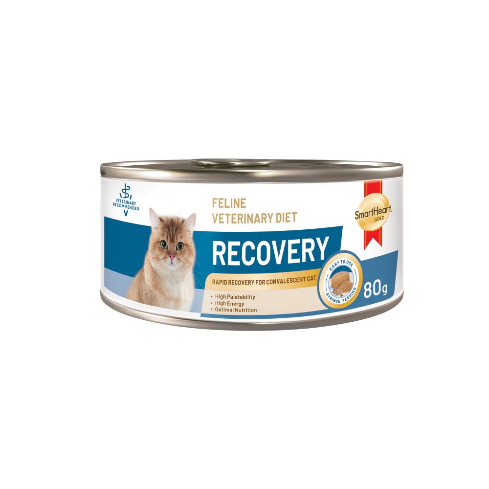 SmartHeart Cat Gold Veterinary Recovery 80g