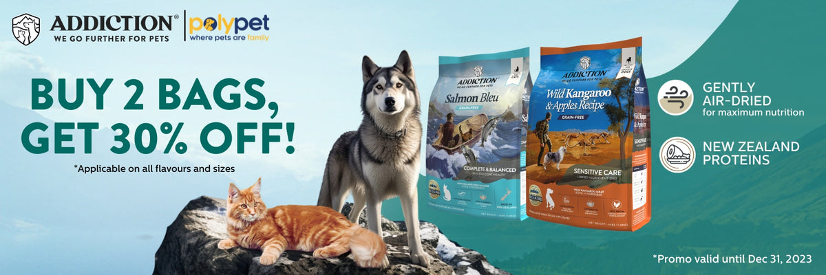 Online & Retail Pet Shop | Polypet Singapore