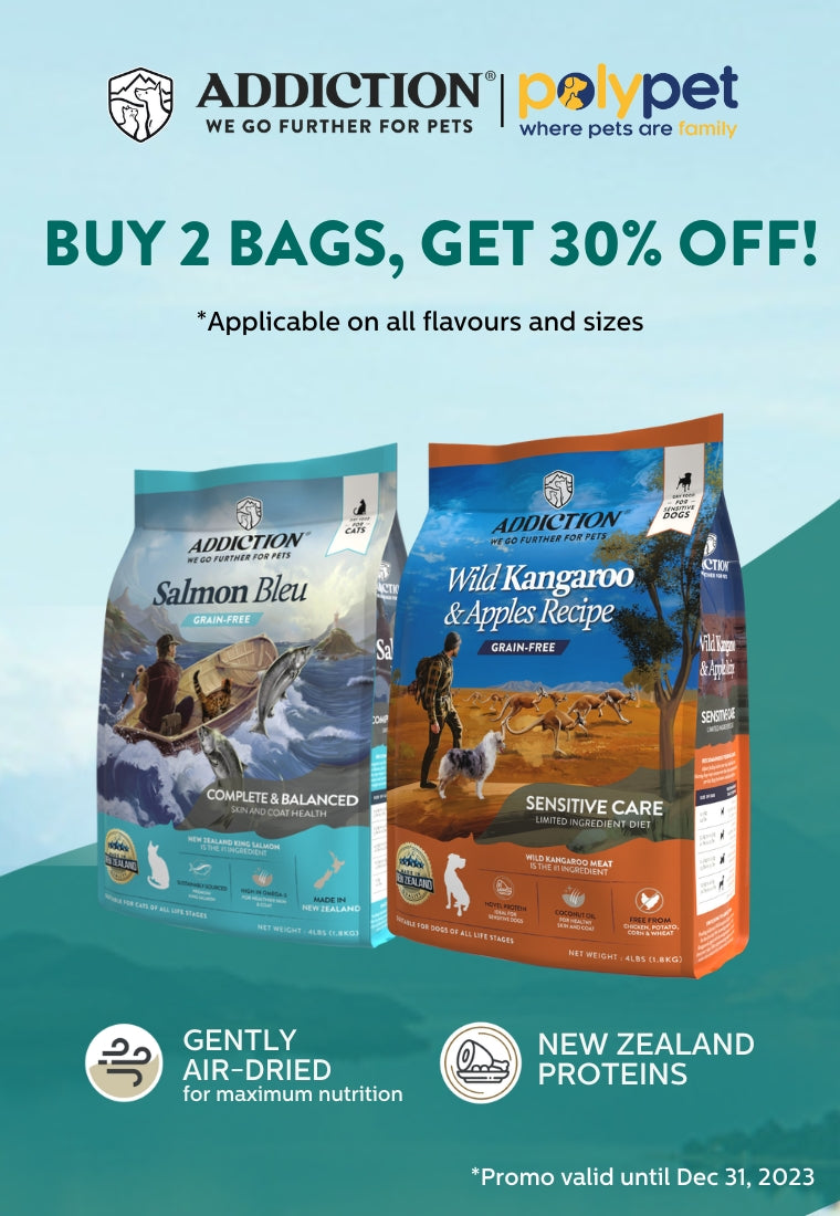 Online & Retail Pet Shop | Polypet Singapore