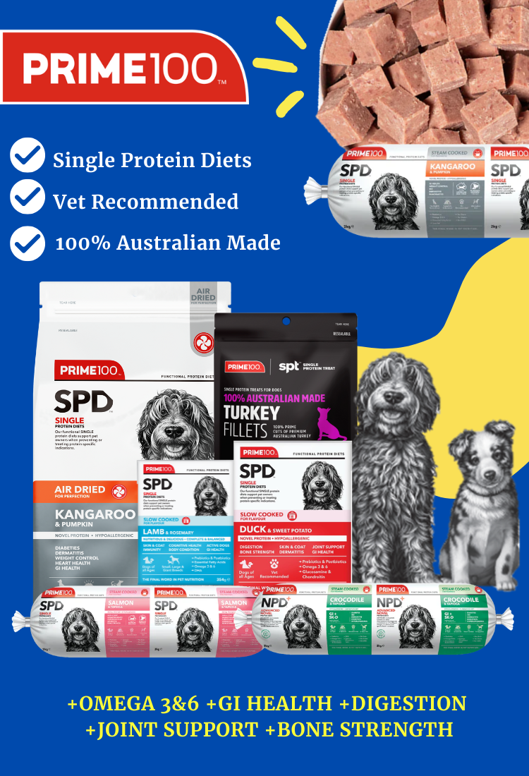 Online & Retail Pet Shop | Polypet Singapore