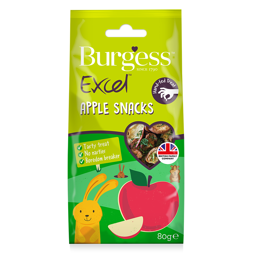 Burgess Excel Apple Snacks 80g